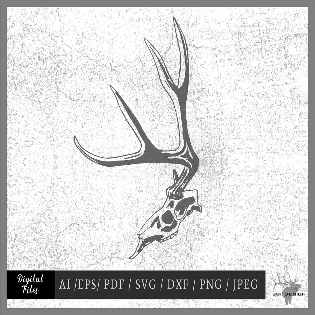 Deer Skull 667Y Vector Eps / Ai / Svg / Dxf / Pdf / Png / Jpeg - Etsy