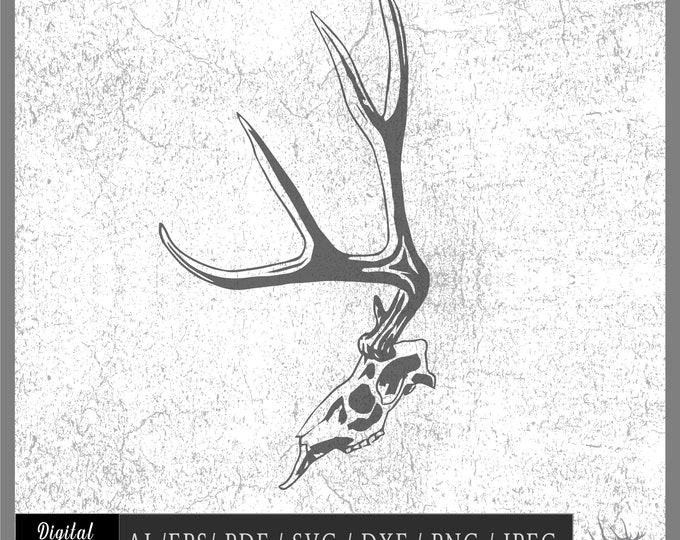Trophy Wild 7 Point Mule Deer Skull Antler Real Animal Mount Cape Cabin ...