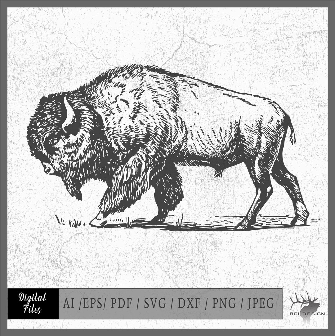 Bison 5 Vector Eps / Ai / Pdf / Svg / Dxf / Png / Jpeg Buffalo - Etsy