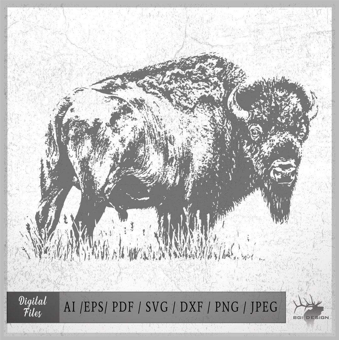 Bison 10 Vector Eps / Ai / Pdf / Svg / Dxf / Png / Jpeg Buffalo - Etsy