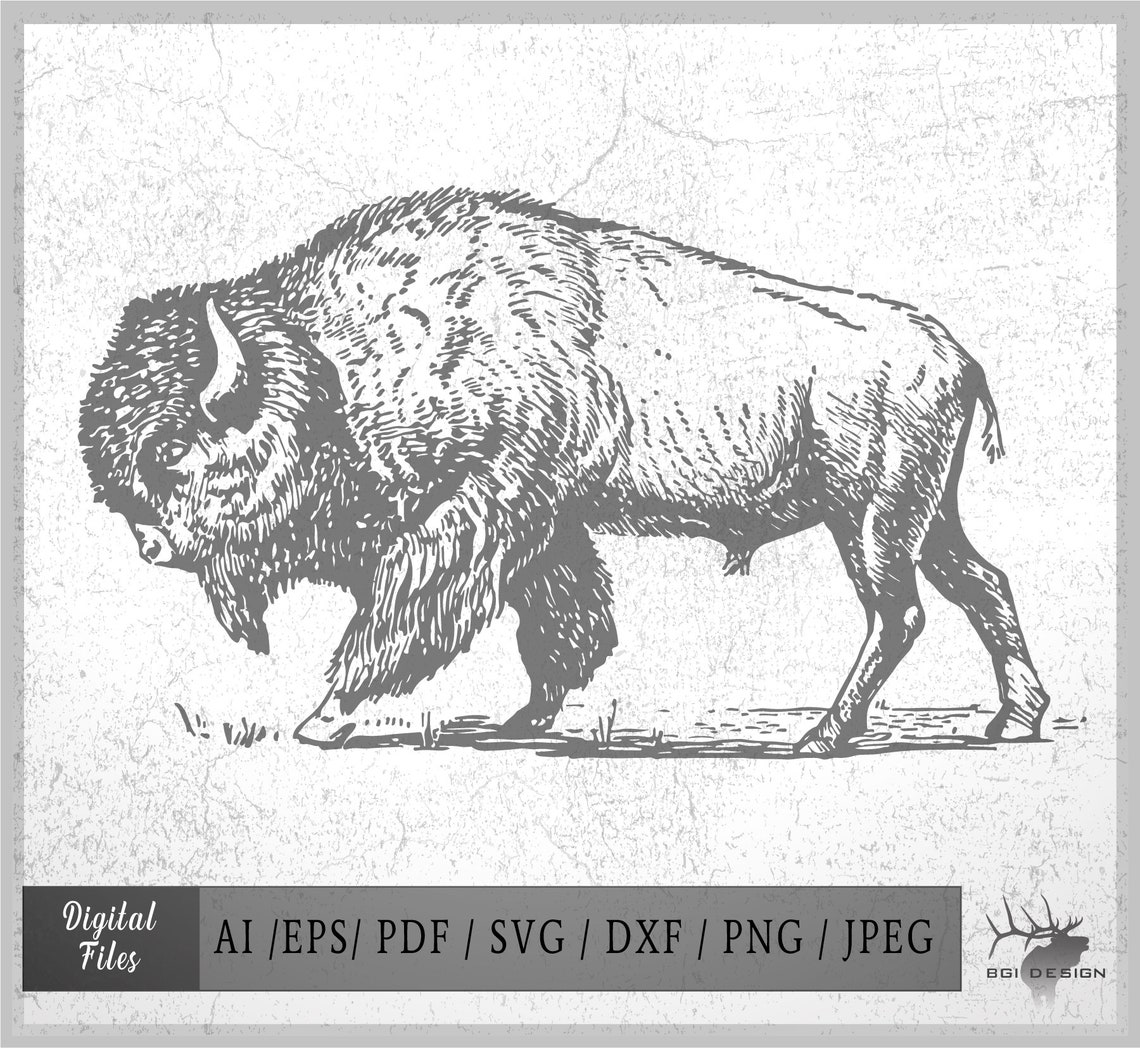 Bison 5 Vector Eps / Ai / Pdf / Svg / Dxf / Png / Jpeg Buffalo - Etsy