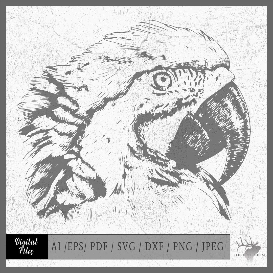 Parrot Vector Eps / Ai / Svg / Pdf / Dxf / Png / Jpeg Bird Vector ...