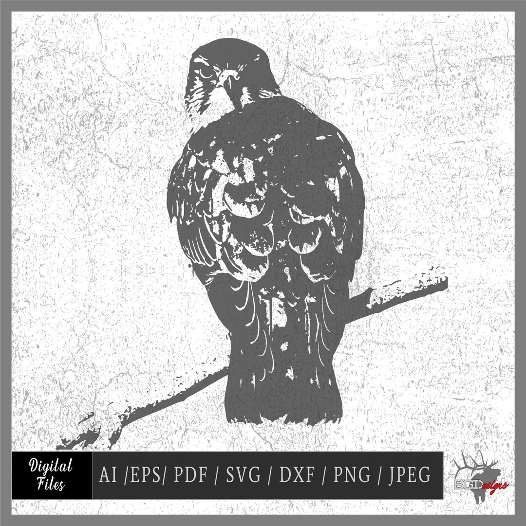 Hawk 951 Vector Eps / Ai / Pdf / Dxf / Svg / Png / Jpeg Hawk, Eagle ...