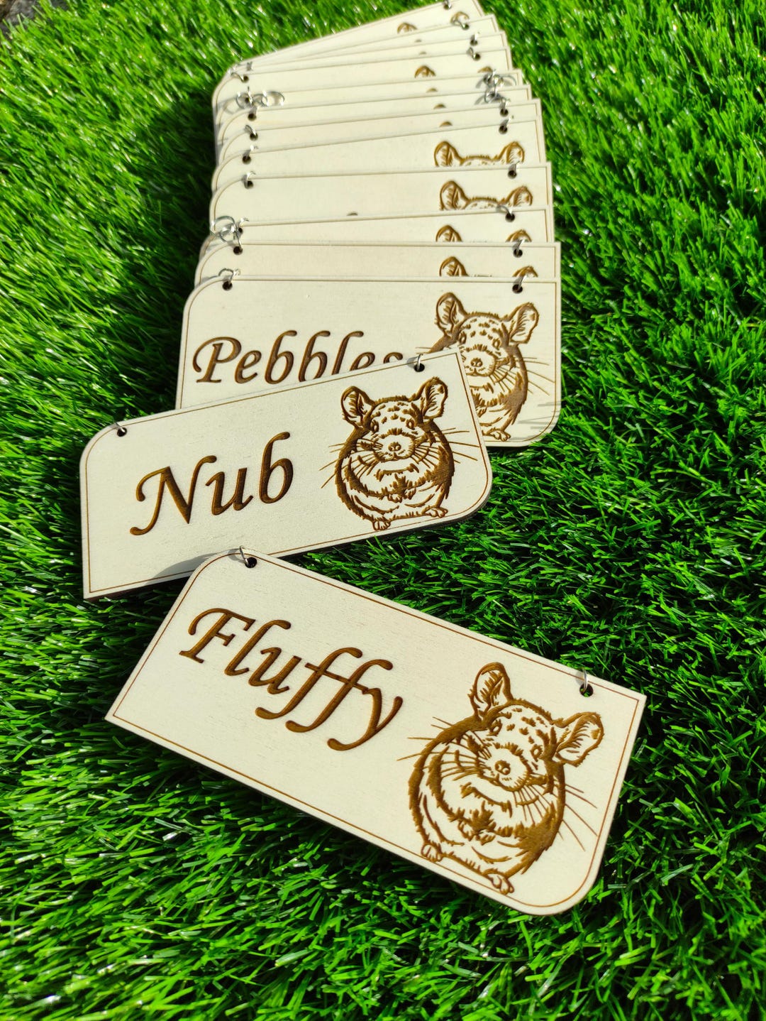 Personalized Pet Tag, Cage Identification, Dog House, Cat, Hamster ...