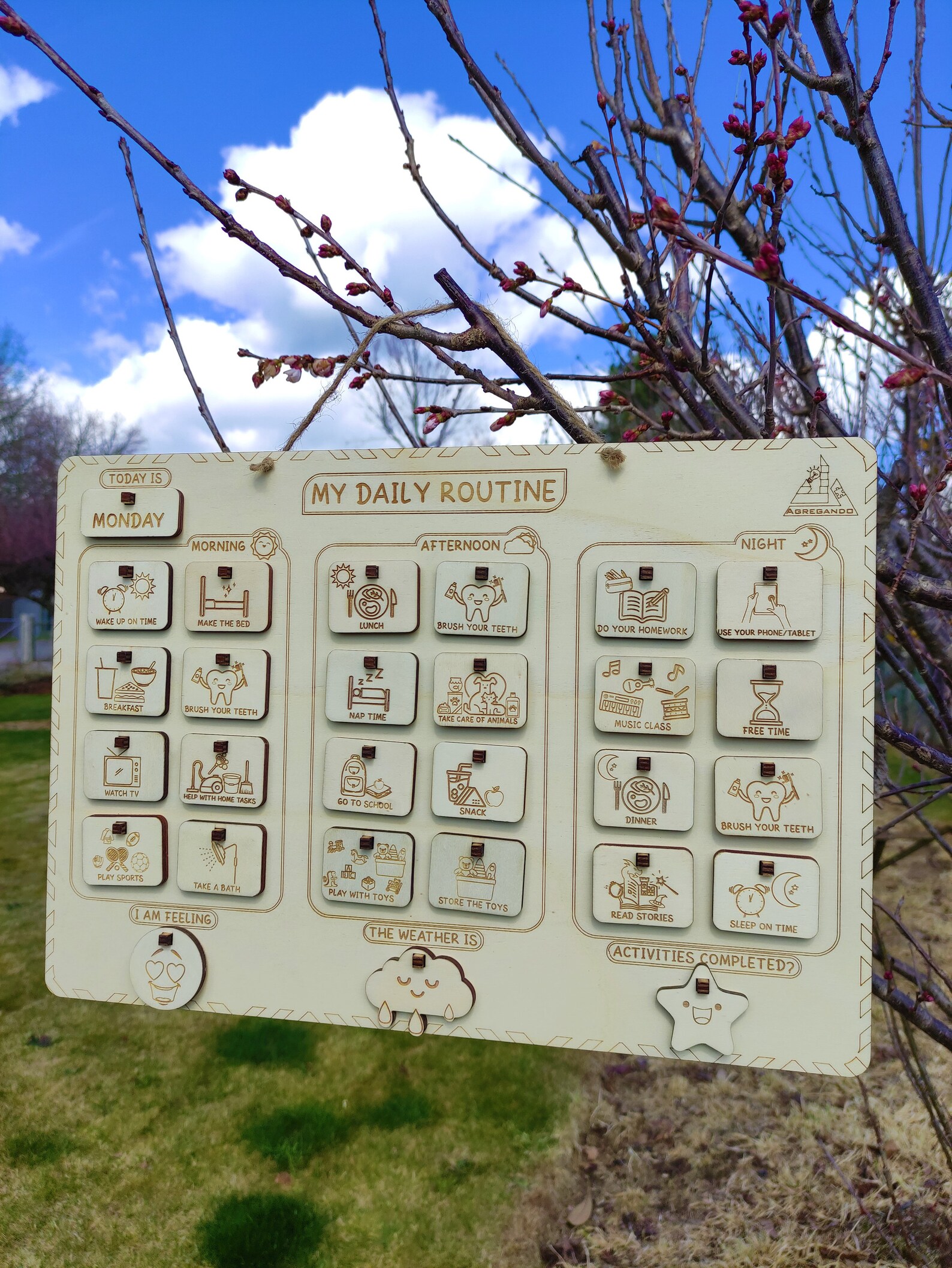 Wooden Daily Routine Board, My Daily Routine, Child's Routine, Task ...