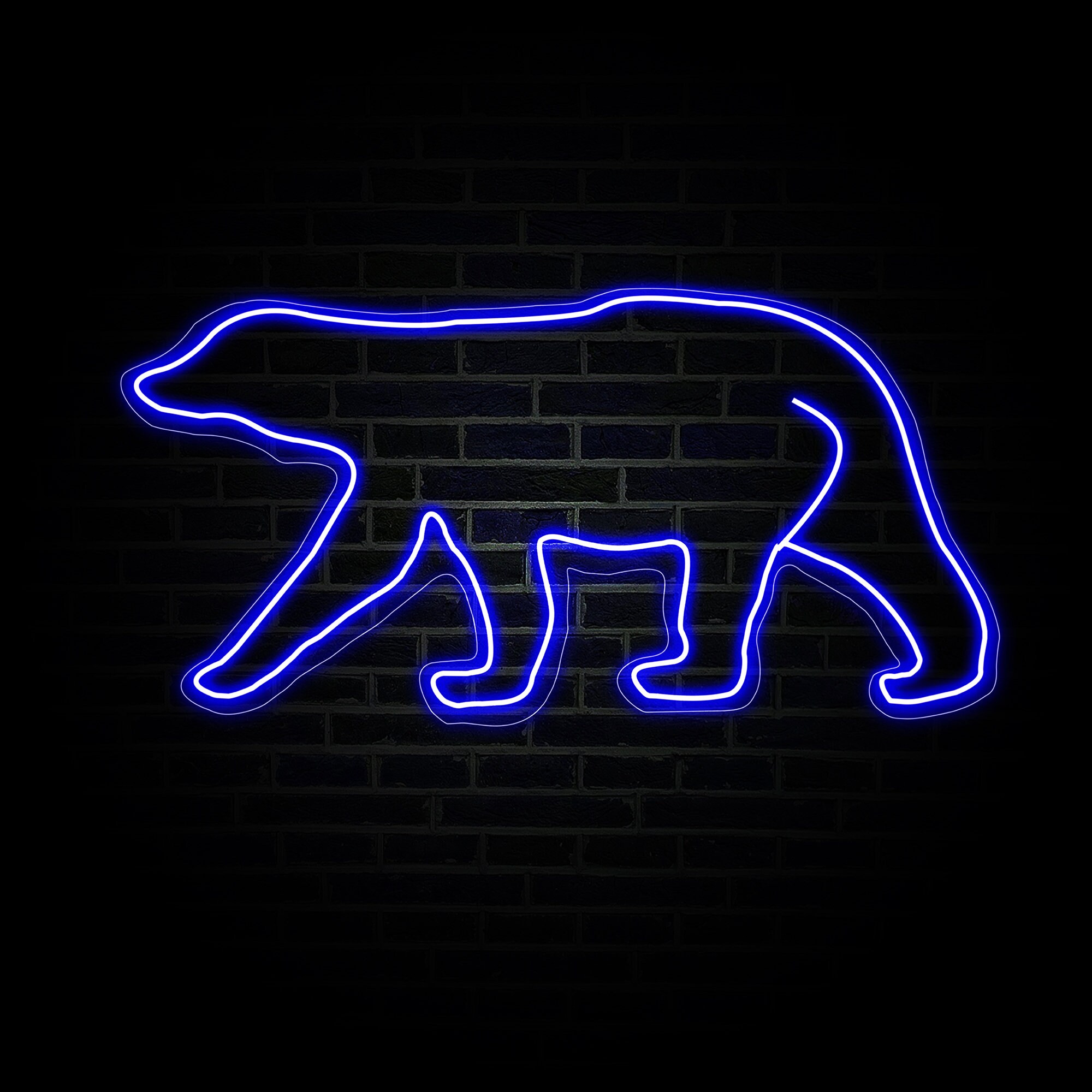 Neon Picture Bear Decor, Personalize Flex LED, Neon Signs, Light for ...