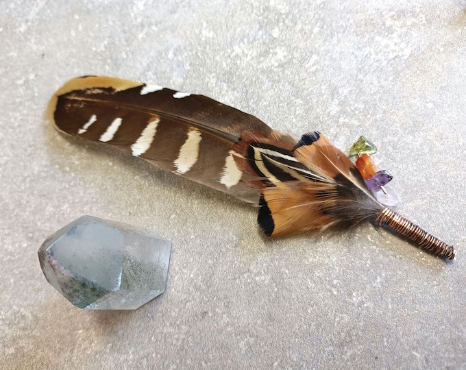 Scarlet Macaw Peyote Ceremony Feather Fan, NAC Native American Church ...