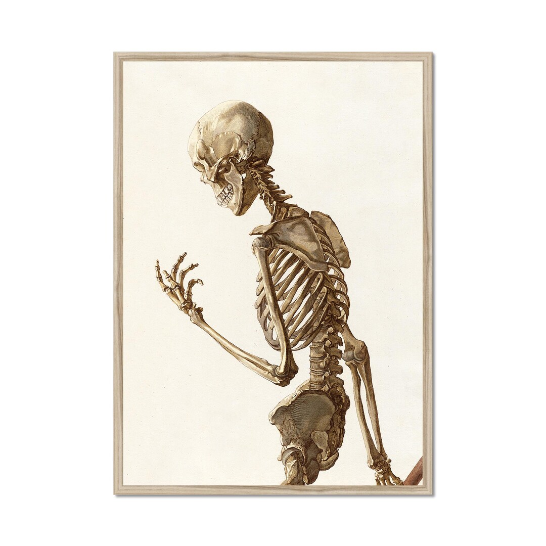 Skeleton Print, Anatomy Poster, Medical Print - Etsy