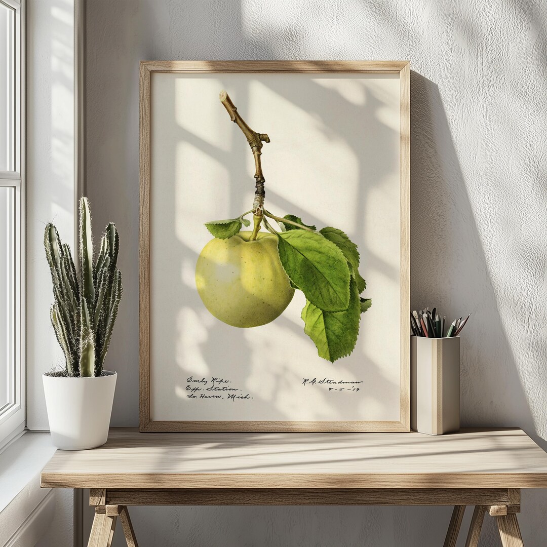 Green Apple Poster, Fruit Print, Kitchen Wall Art - Etsy