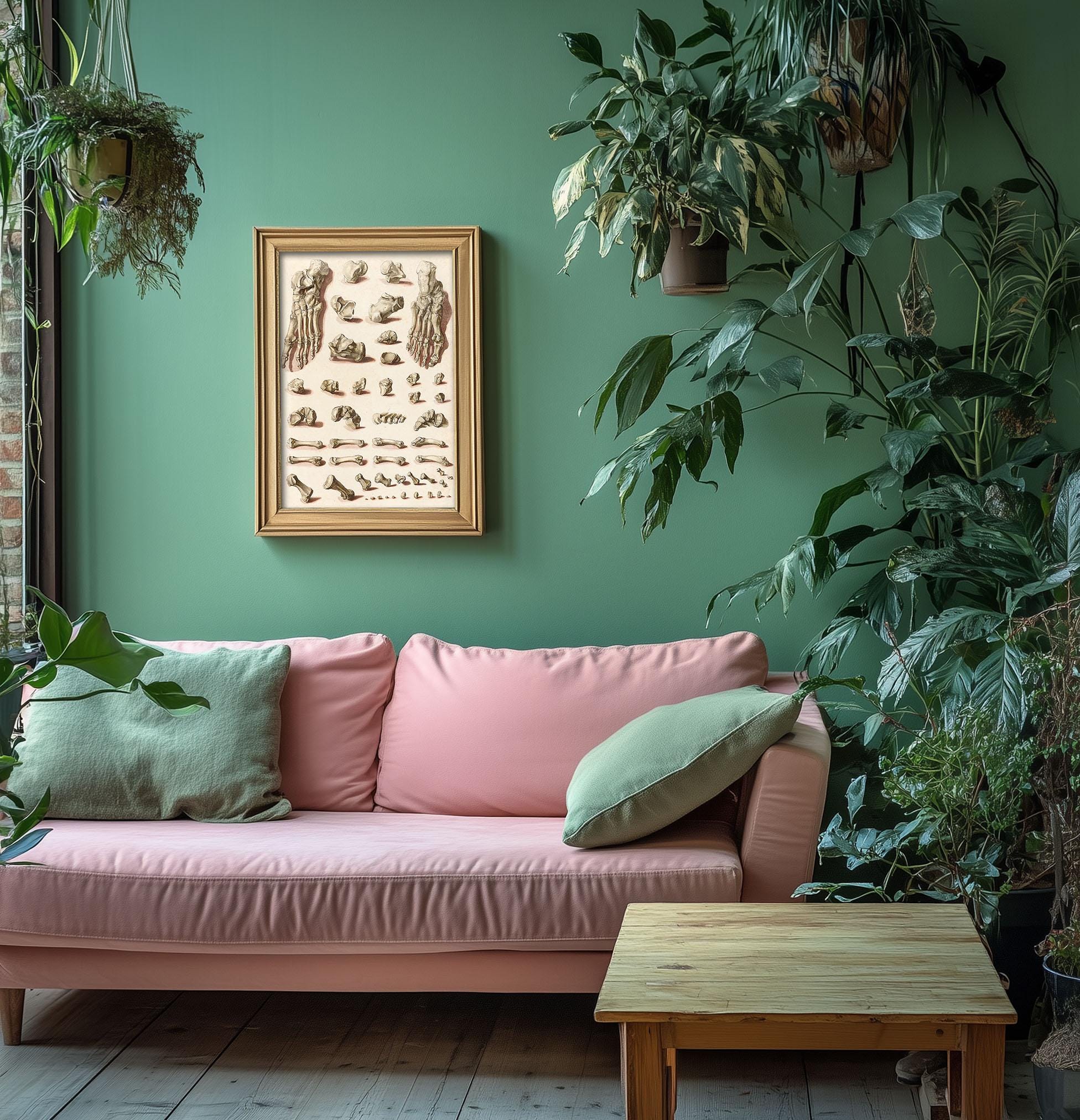 Bones of the Foot Illustration, Orthopedic Chart, Skeleton of a Foot ...