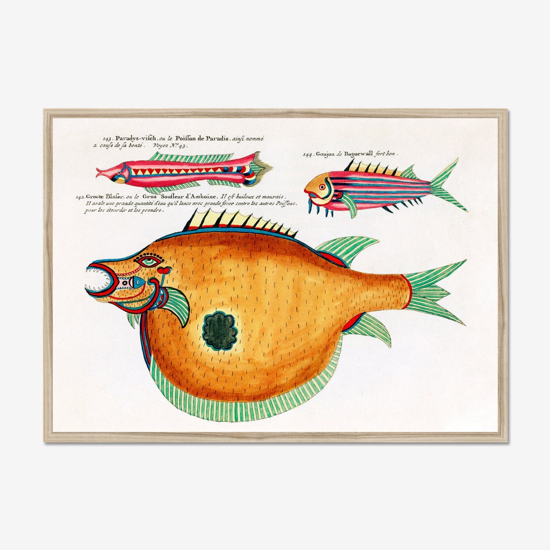 Fish Poster Tropical Fish Print - Etsy