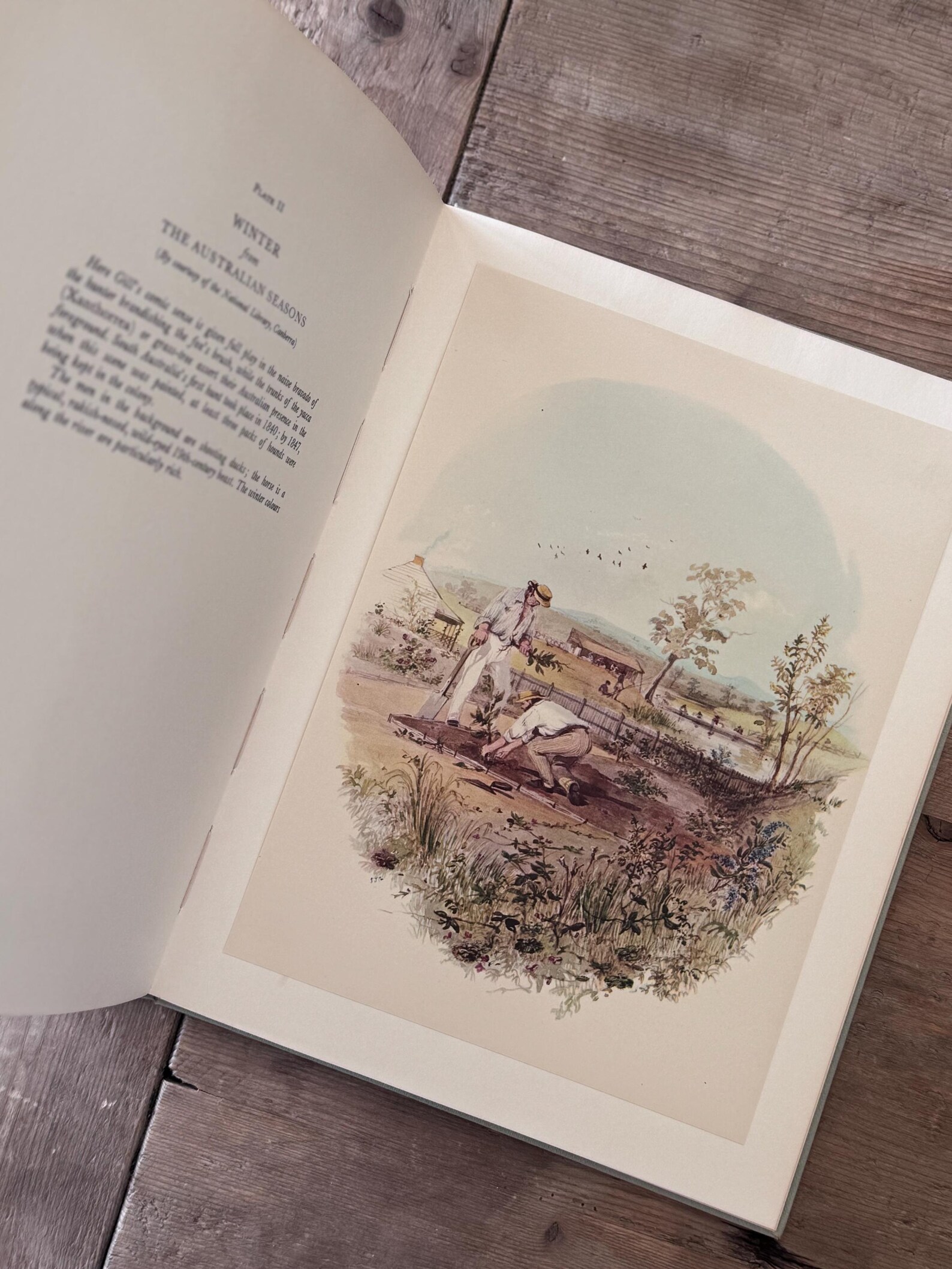 Vintage Art Book: Paintings of S.T. Gill, Australian Colonial Artist - Etsy