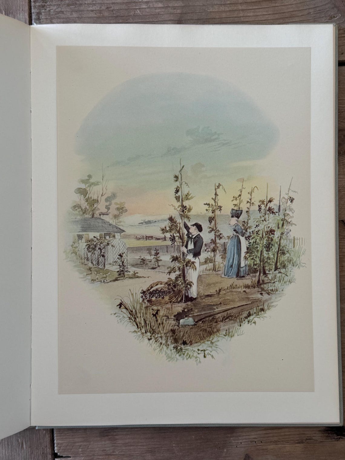 Vintage Art Book: Paintings of S.T. Gill, Australian Colonial Artist - Etsy