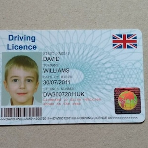Novelty Personalised Kids Children's Driving Licence Ideal Gift Idea ...