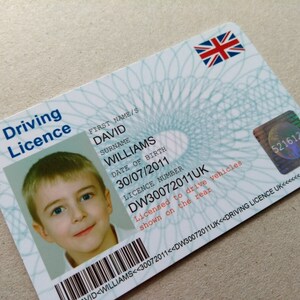 Novelty Personalised Kids Children's Driving Licence Ideal Gift Idea ...