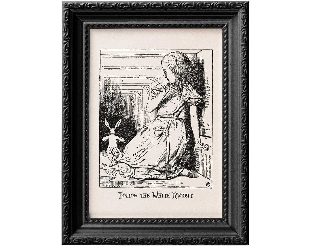 Alice in Wonderland Following the White Rabbit Down the Rabbit Hole ...