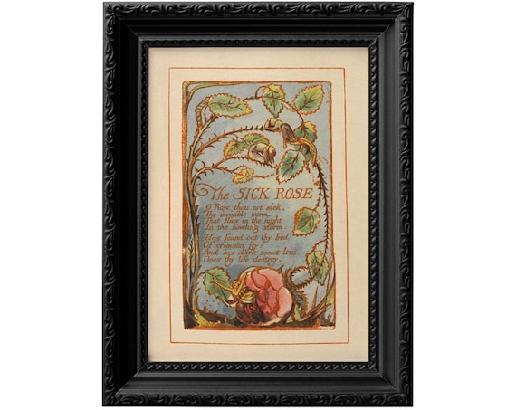 William Blake the Sick Rose. Reproduction Print From 18th - Etsy UK