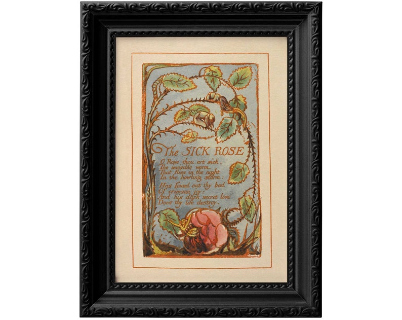 William Blake the Sick Rose. Reproduction Print From 18th Century ...