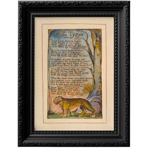 William Blake - the Tyger. Unframed Reproduction Print From 18th ...