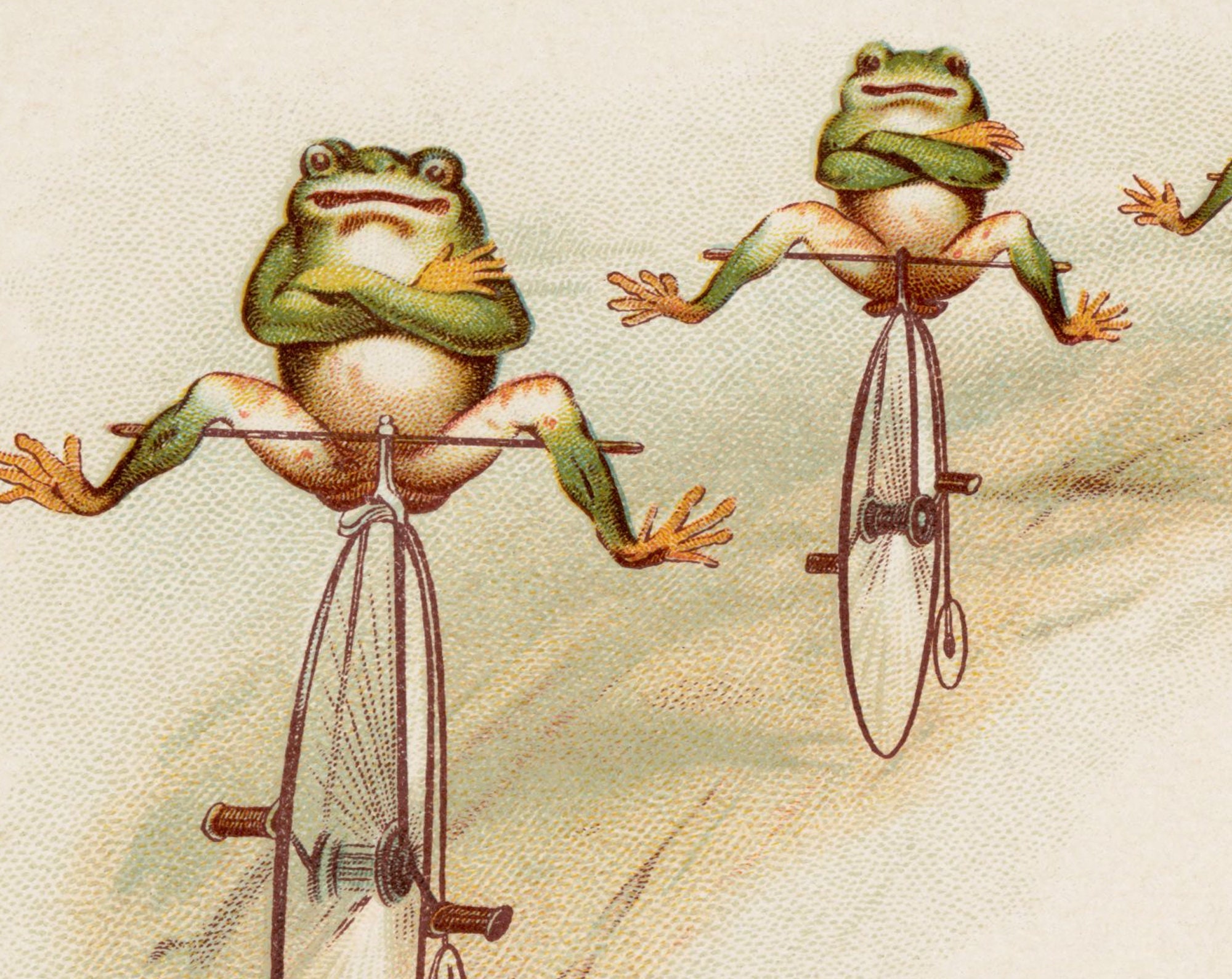 Frogs Riding Victorian Era Penny Farthing Bikes. Reproduction - Etsy