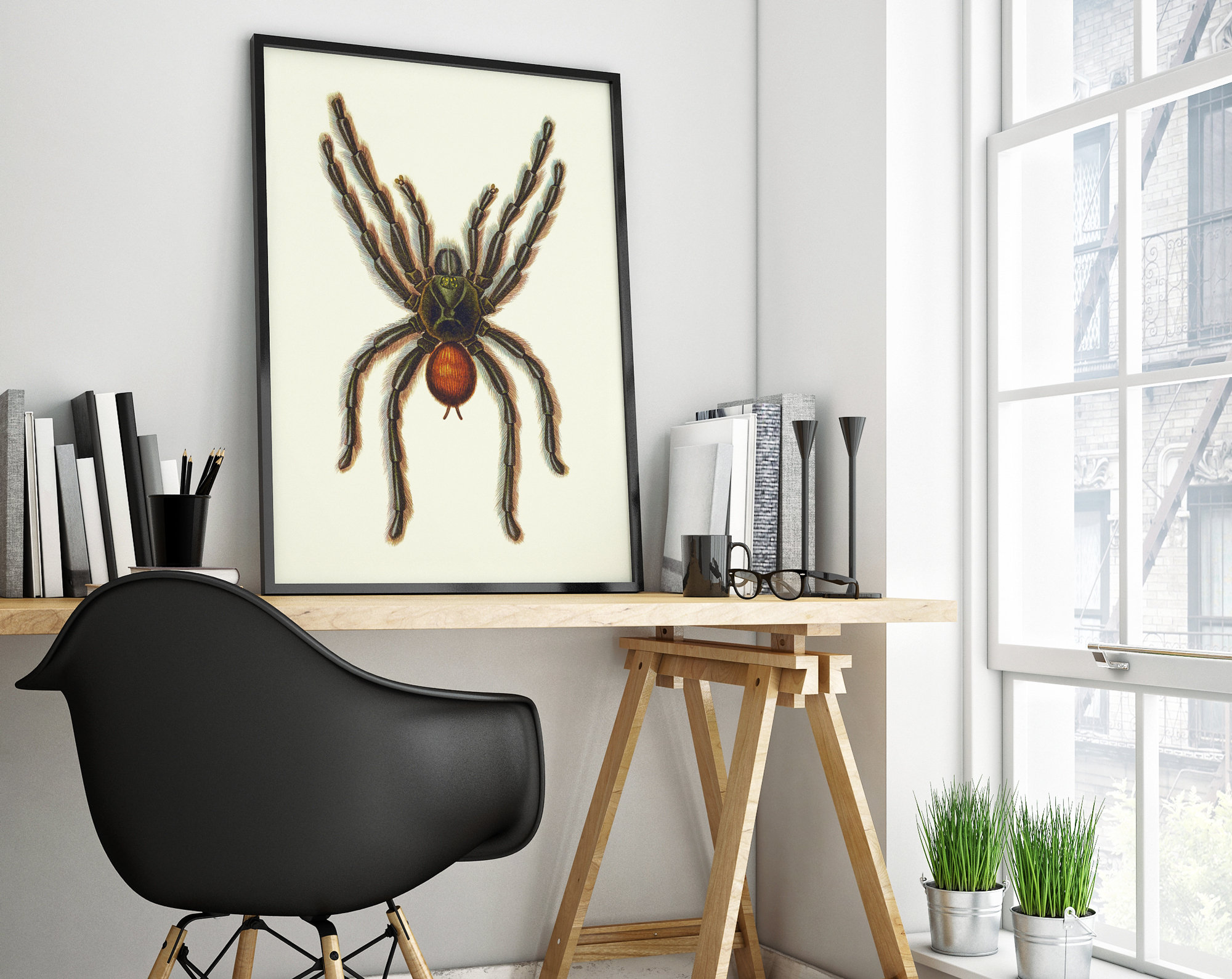 Pinktoe Tarantula Vintage Spider Poster, Natural History Atlas ...