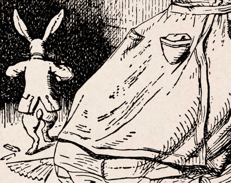 Alice in Wonderland Following the White Rabbit Down the Rabbit - Etsy UK