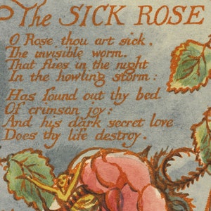 William Blake - the Sick Rose. Reproduction Print From 18th Century ...