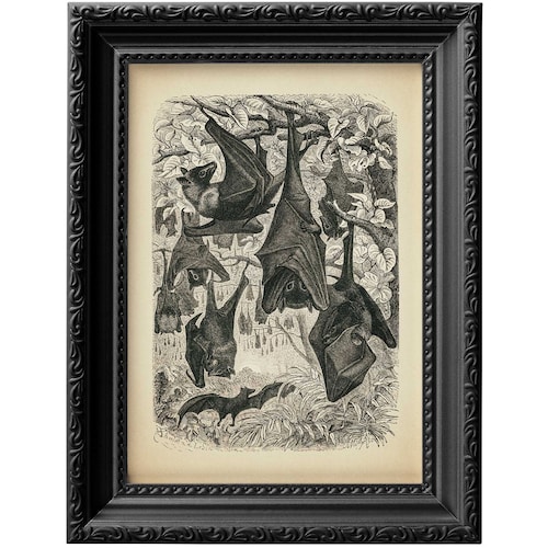 Hanging Bat Wall Art Decal Sticker - Etsy