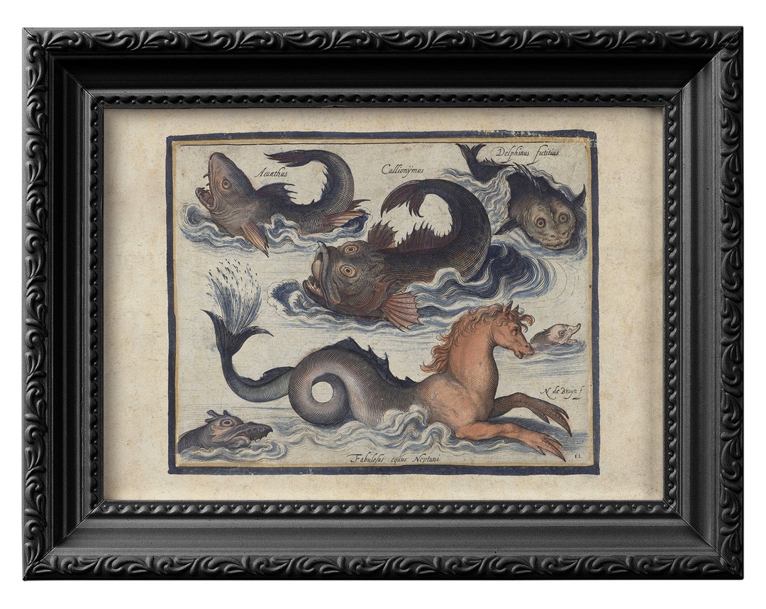 Mythical Sea Creatures, Unframed Reproduction of 16th Century Dutch ...
