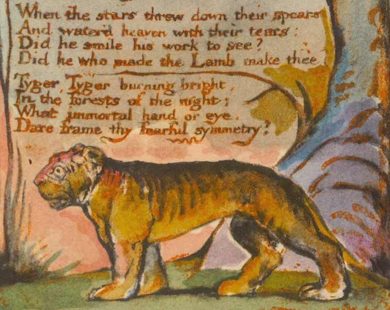 William Blake - the Tyger. Unframed Reproduction Print From 18th ...