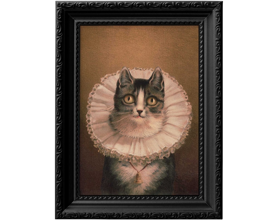 Cat Wearing a Bell and Victorian Neck Ruff Collar, Quirky Rustic Home ...