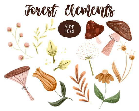 Forest Clipart Mushroom Clipart Flowers Plants Leaves - Etsy