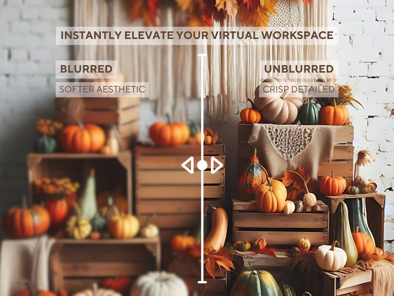 Cozy Fall Virtual Backgrounds: 24-image Zoom Meeting Pack (digital ...