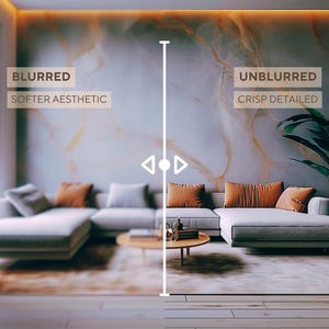 Minimalist Home Virtual Backgrounds: Blurred & Unblurred (digital ...