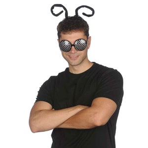 FUNCREDIBLE Bug Headband and Glasses Set Fly Antenna Headband With Fly ...