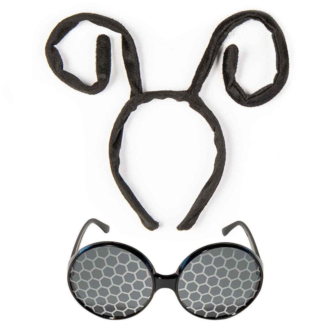FUNCREDIBLE Bug Headband and Glasses Set Fly Antenna Headband With Fly ...