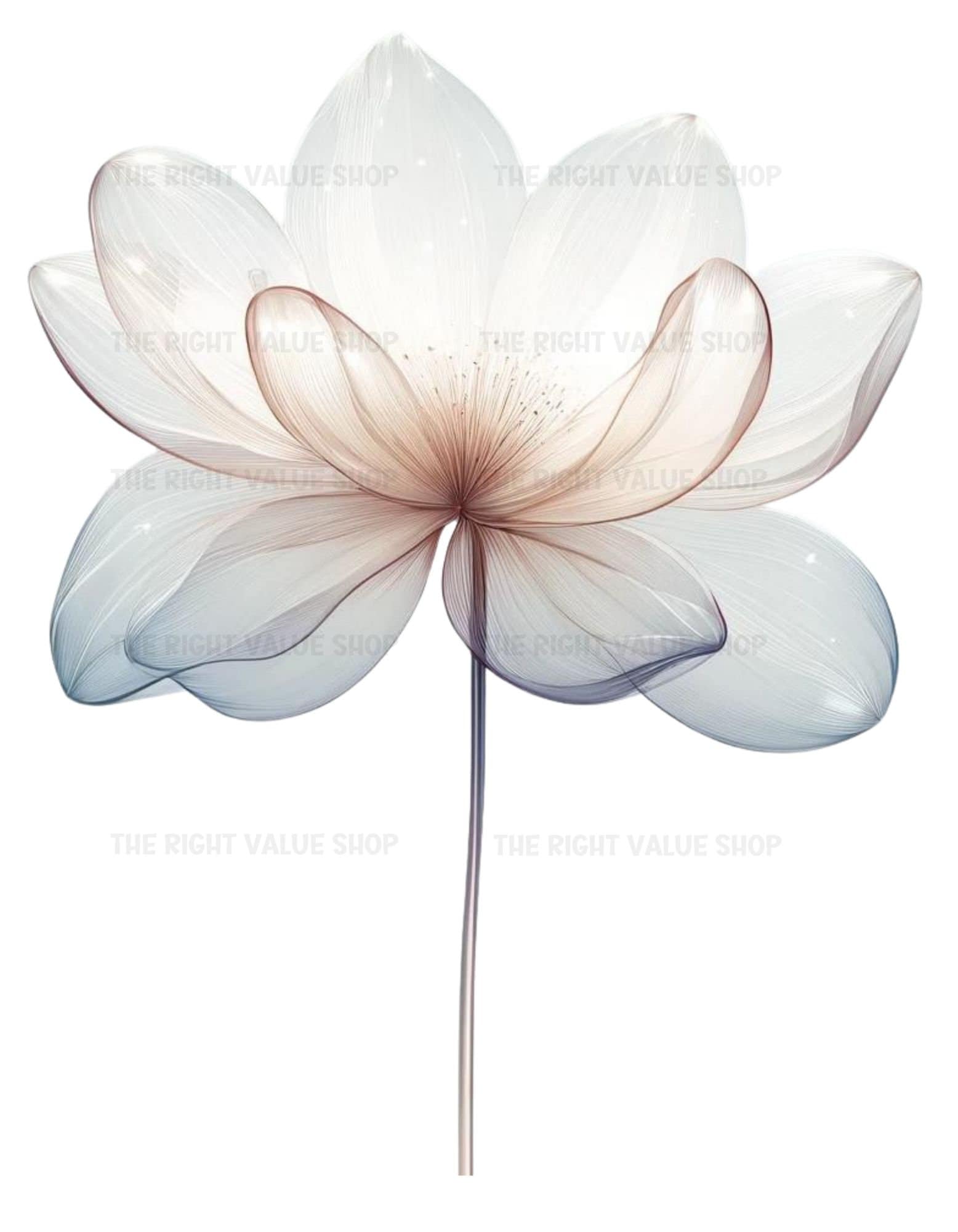 51 PNG Translucent Flowers Clipart, Various Flowers Clipart ...