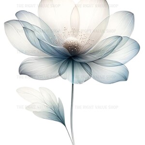 51 PNG Translucent Flowers Clipart, Various Flowers Clipart ...