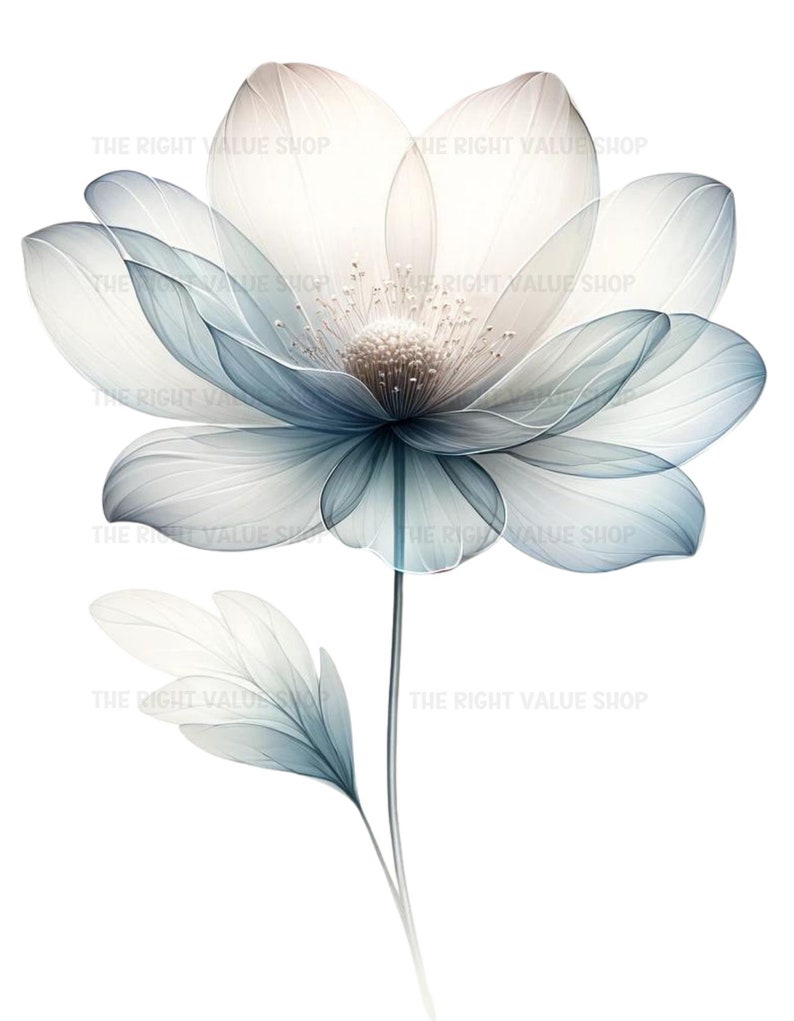 51 PNG Translucent Flowers Clipart, Various Flowers Clipart ...