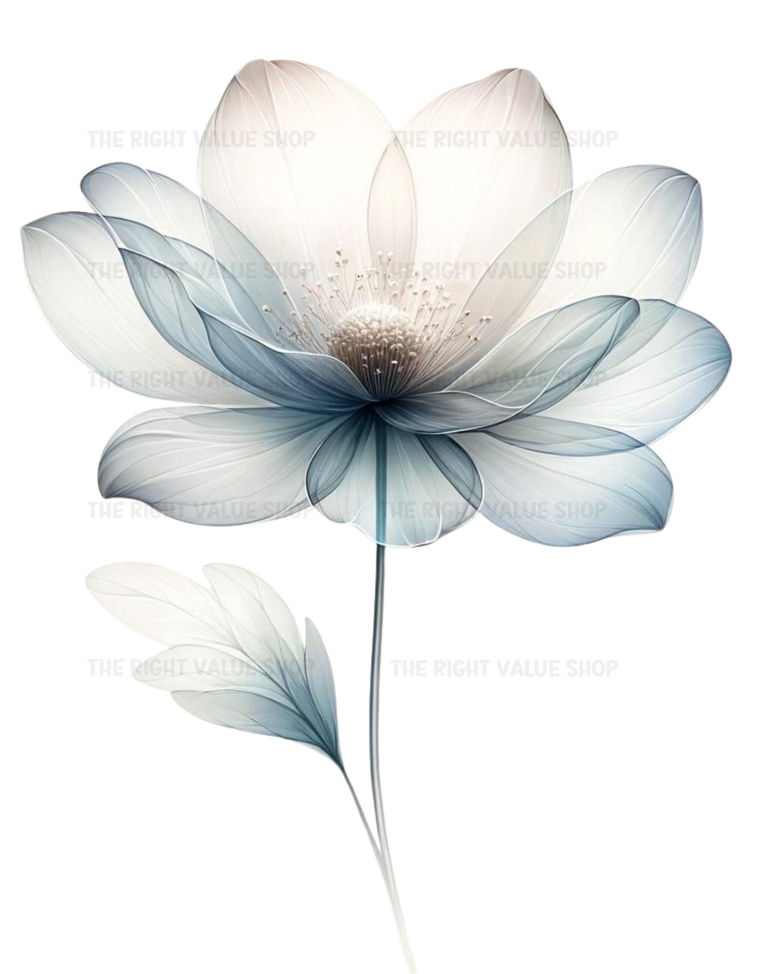 51 PNG Translucent Flowers Clipart, Various Flowers Clipart ...