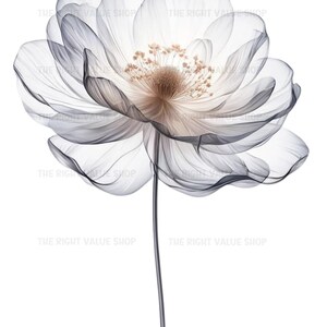 51 PNG Translucent Flowers Clipart, Various Flowers Clipart ...