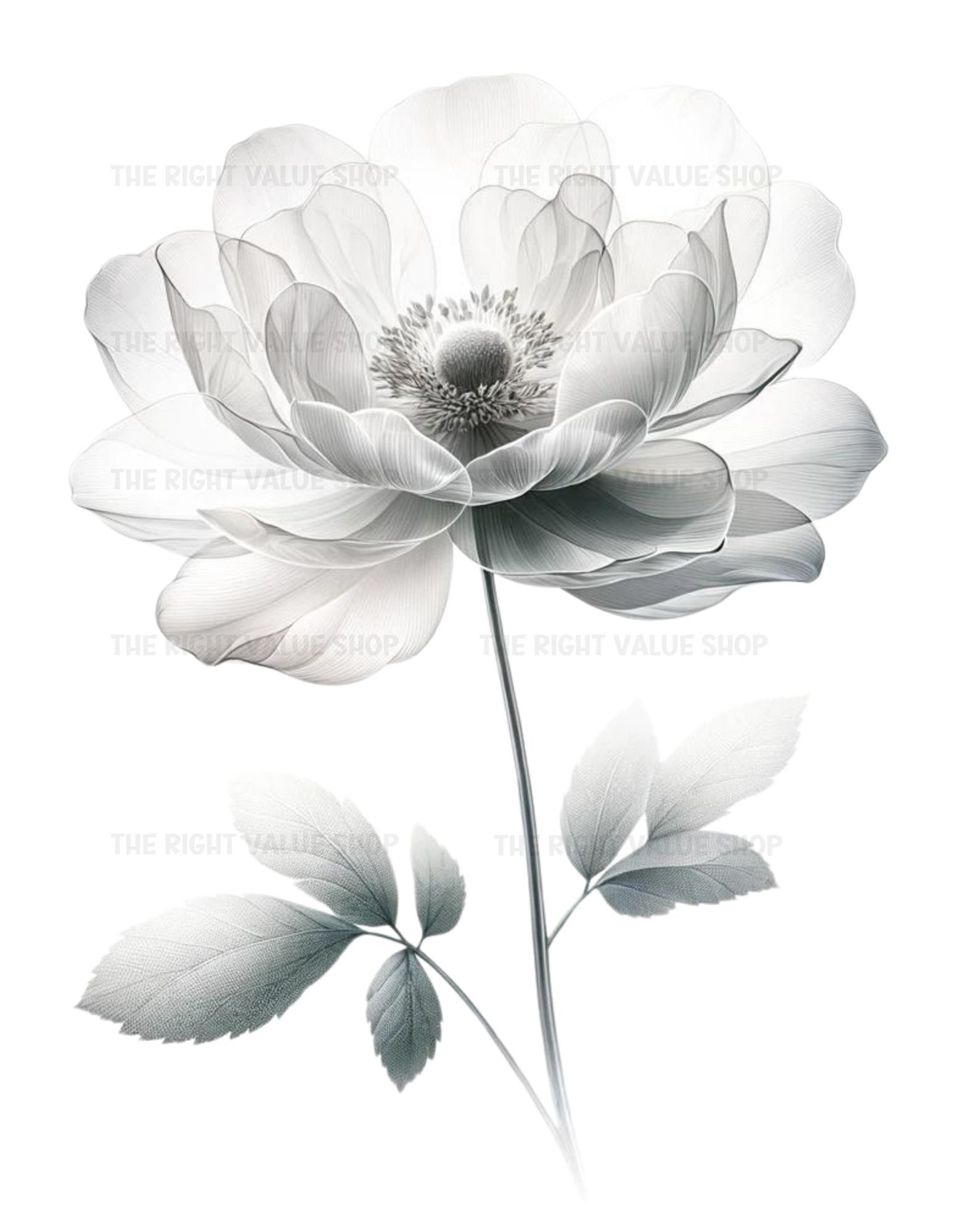 51 PNG Translucent Flowers Clipart, Various Flowers Clipart ...