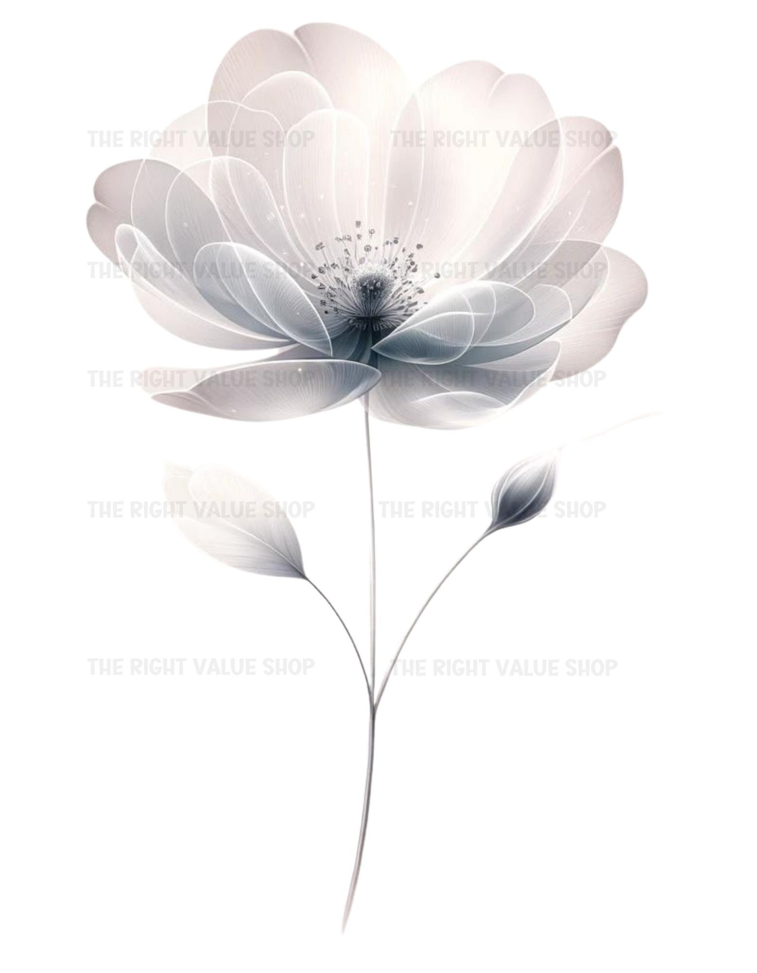 51 PNG Translucent Flowers Clipart, Various Flowers Clipart ...