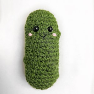 PATTERN ONLY, Easy Pickle Crochet Pattern, Instant DOWNLOAD - Etsy