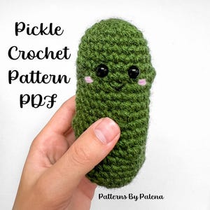 PATTERN ONLY, Easy Pickle Crochet Pattern, Instant DOWNLOAD - Etsy