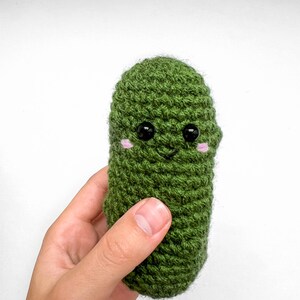 PATTERN ONLY, Easy Pickle Crochet Pattern, Instant DOWNLOAD - Etsy