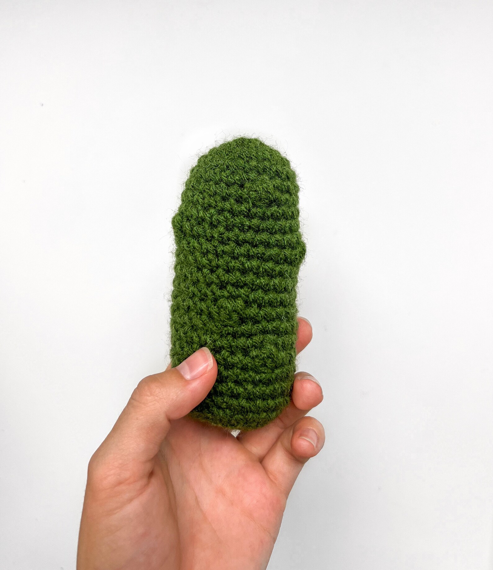 PATTERN ONLY, Easy Pickle Crochet Pattern, Instant DOWNLOAD - Etsy