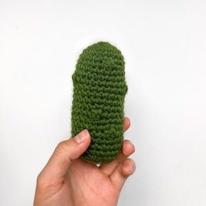 PATTERN ONLY, Easy Pickle Crochet Pattern, Instant DOWNLOAD - Etsy