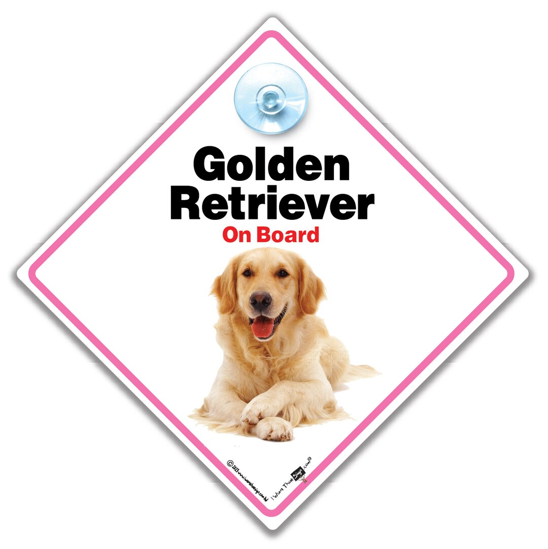 Golden Retriever on Board Car Sign - High Visibility, Pink Border - Etsy