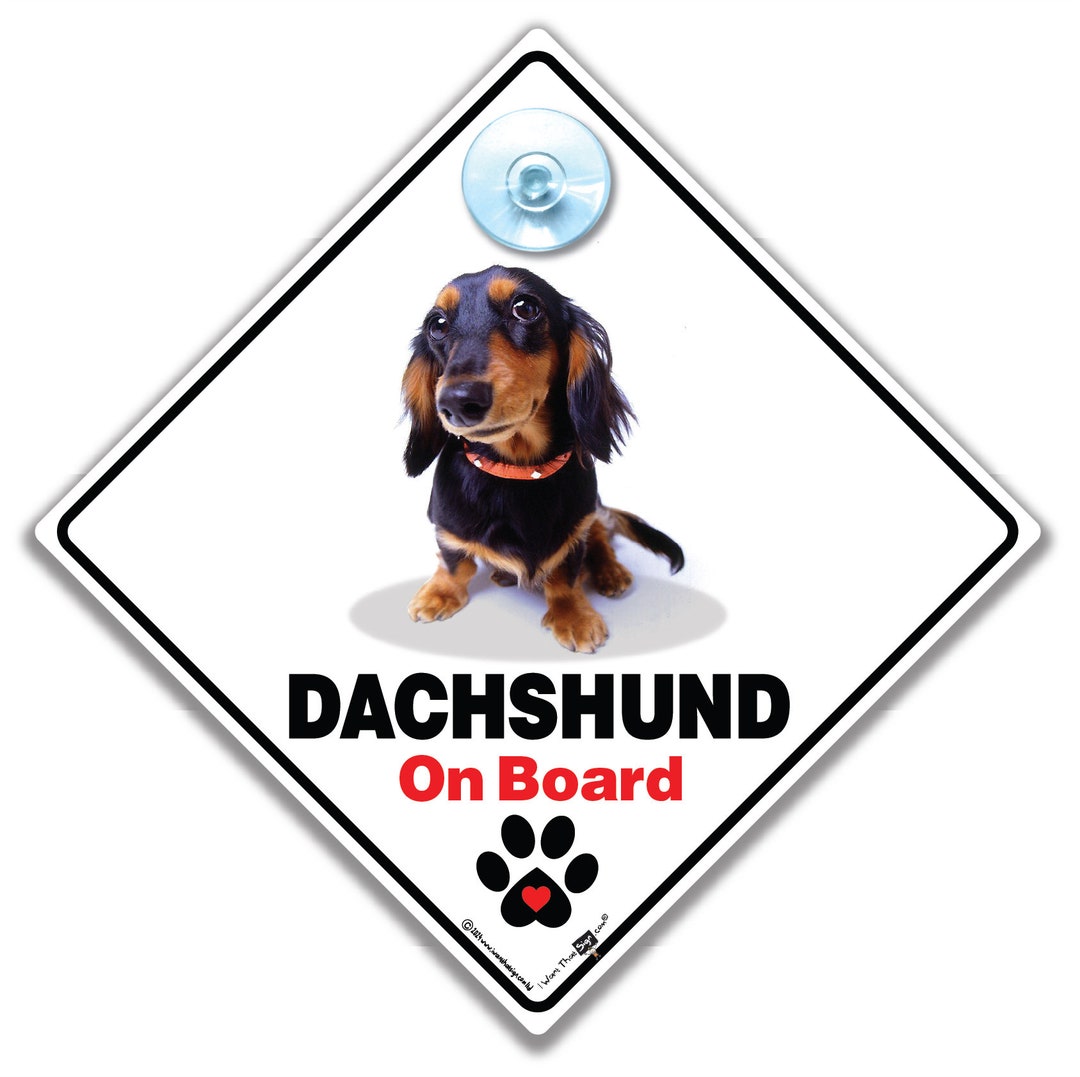DACHSHUND Car Sign, Dachshund on Board Sign, Fur Baby Sign, Dog on ...